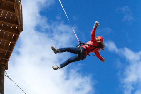 Jump Forest - Royaume des arbres