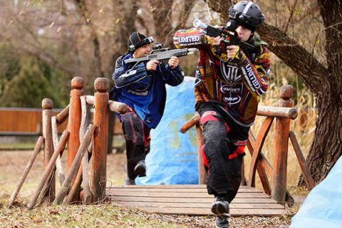 Laser Forest - Royaume des arbres